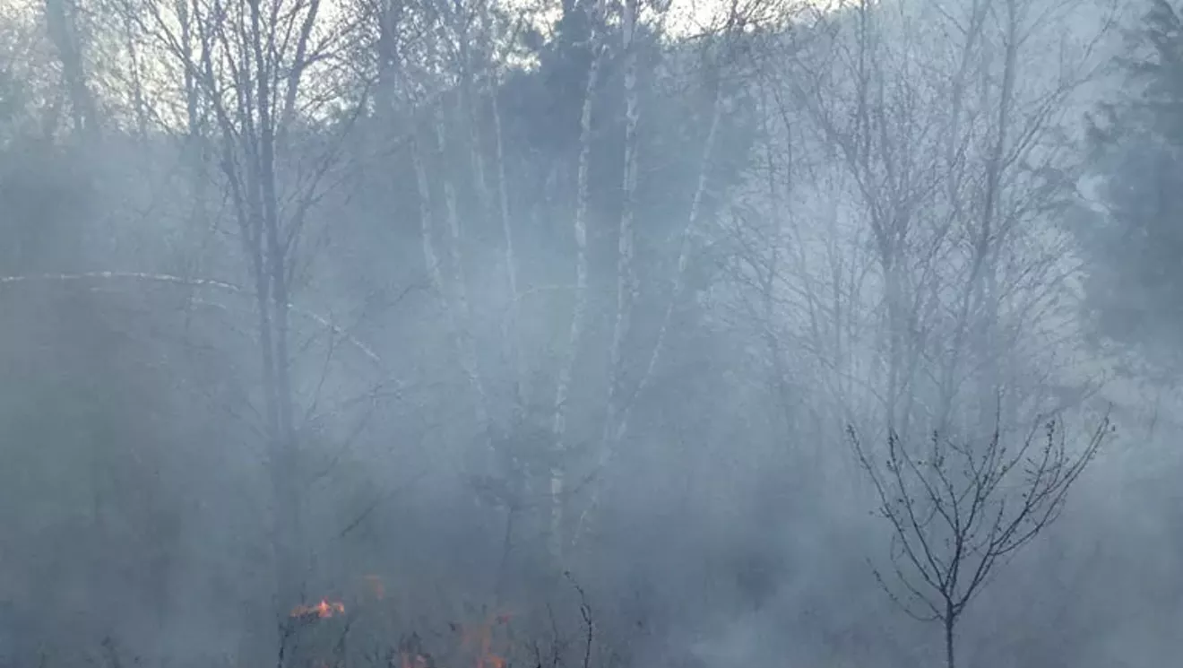 Burn Notice: Even in Vermont, a 'Prescribed' Fire Requires Perfect ...