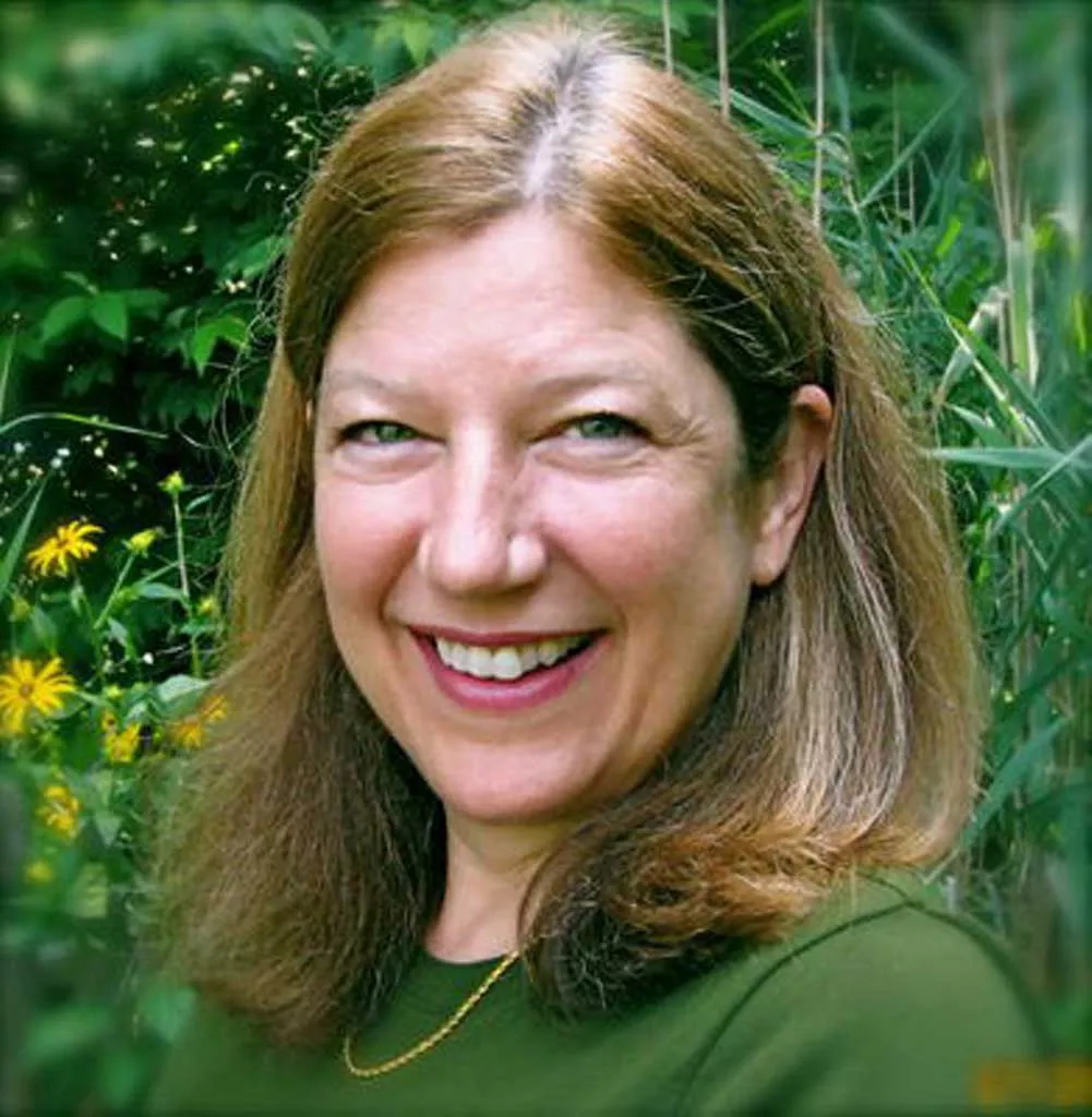Column | Conflict Resolution: Should Vermont Legislators Go to Work for ...