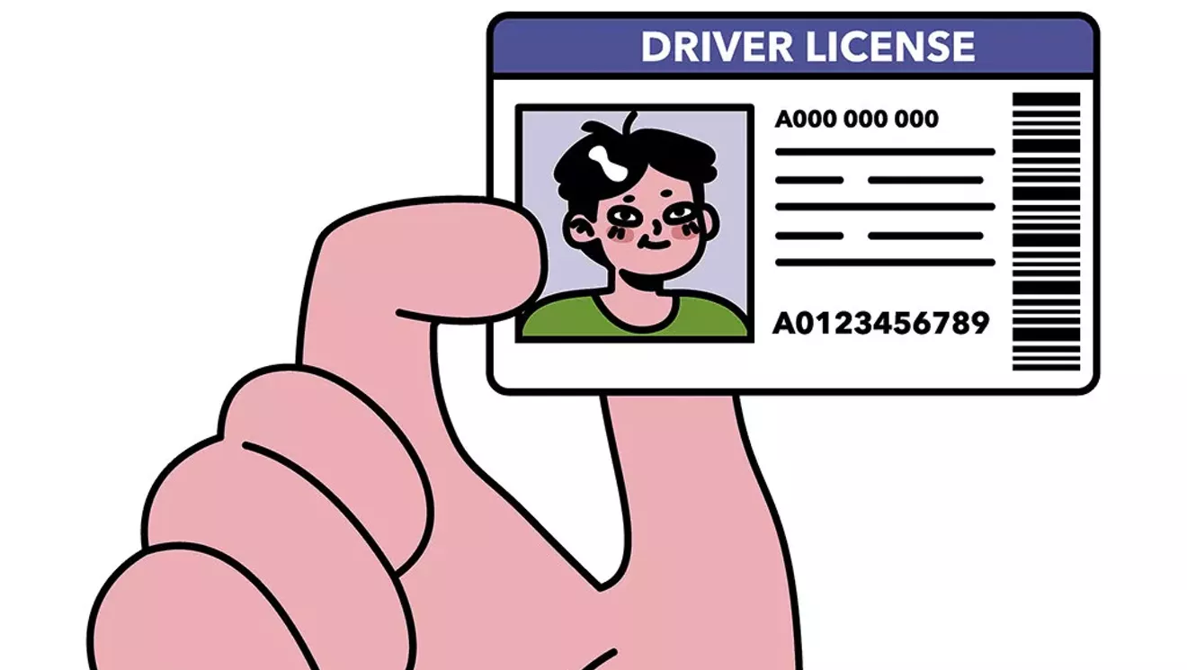 Why Do I Have to Get My Driver's License? | Seven Days