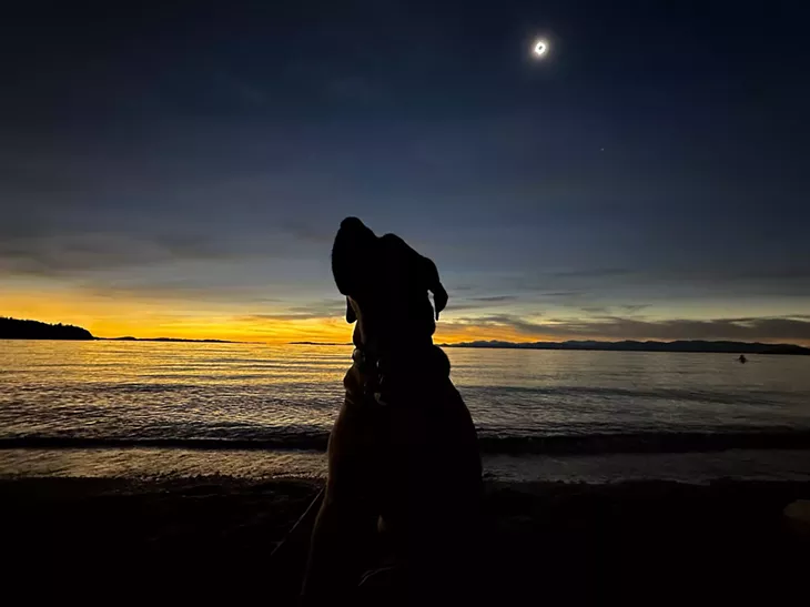 A Rare Total Solar Eclipse Dazzles Vermont | Seven Days
