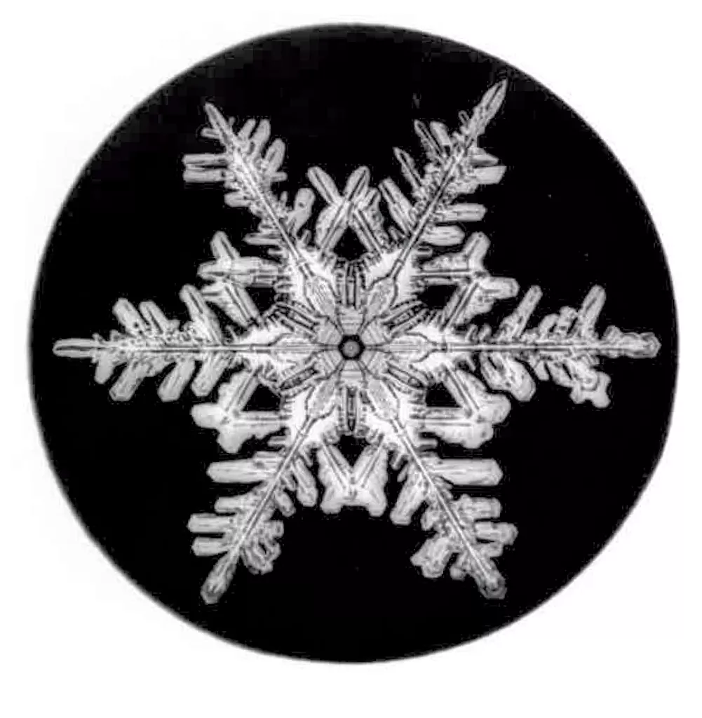 Eternal Winter: How Vermont Photographer "Snowflake" Bentley Got His ...
