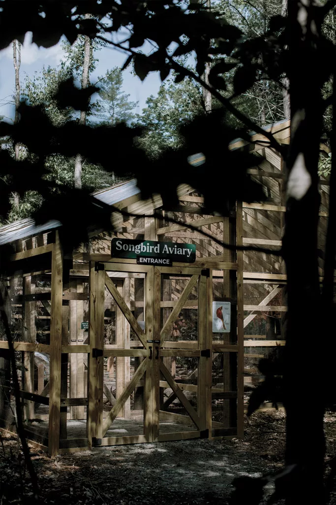 The Vermont Institute of Natural Science Opens a New Songbird Aviary ...