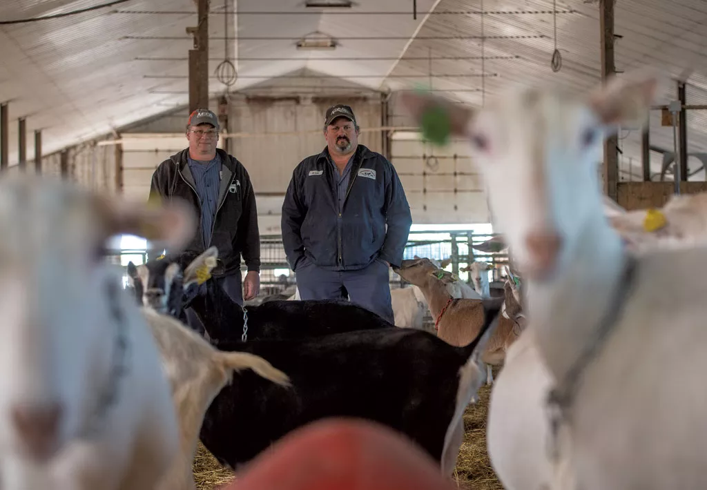 New Agricultural Enterprises Are Flourishing Where Cows Once Grazed ...
