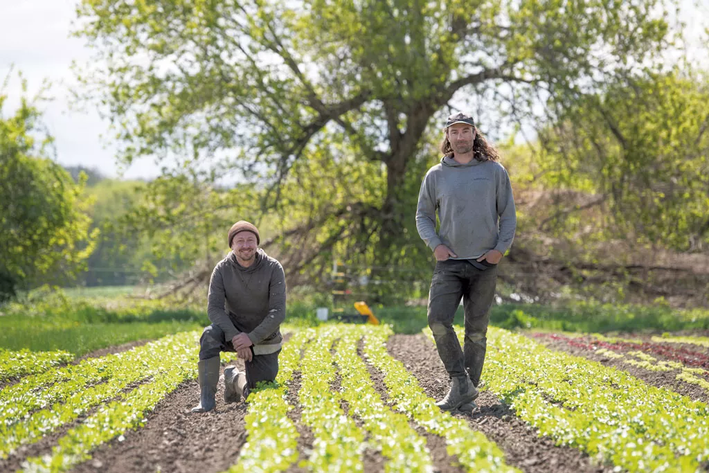 Climate Change is Causing Vermont Farmers to Adapt | Seven Days